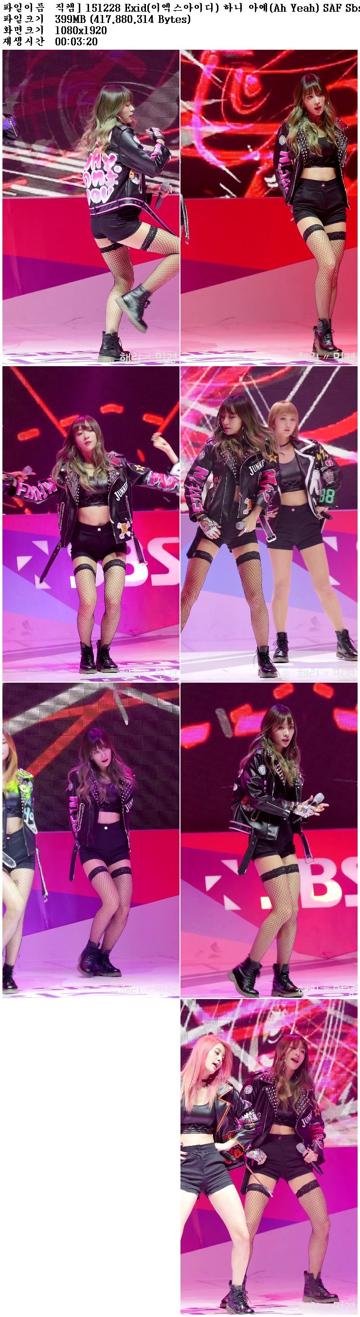 직캠] 151228 Exid(이엑스아이디) 하니 아예(Ah Yeah) SAF Sbs Awards Festival