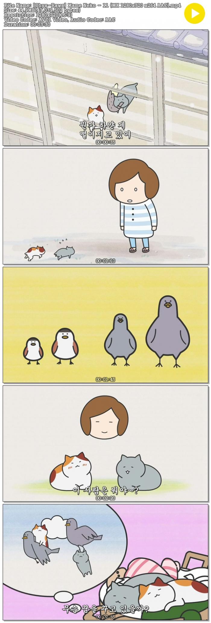 [Ohys-Raws] 콩 고양이 - 11화 (MX 1280x720 x264 AAC)
