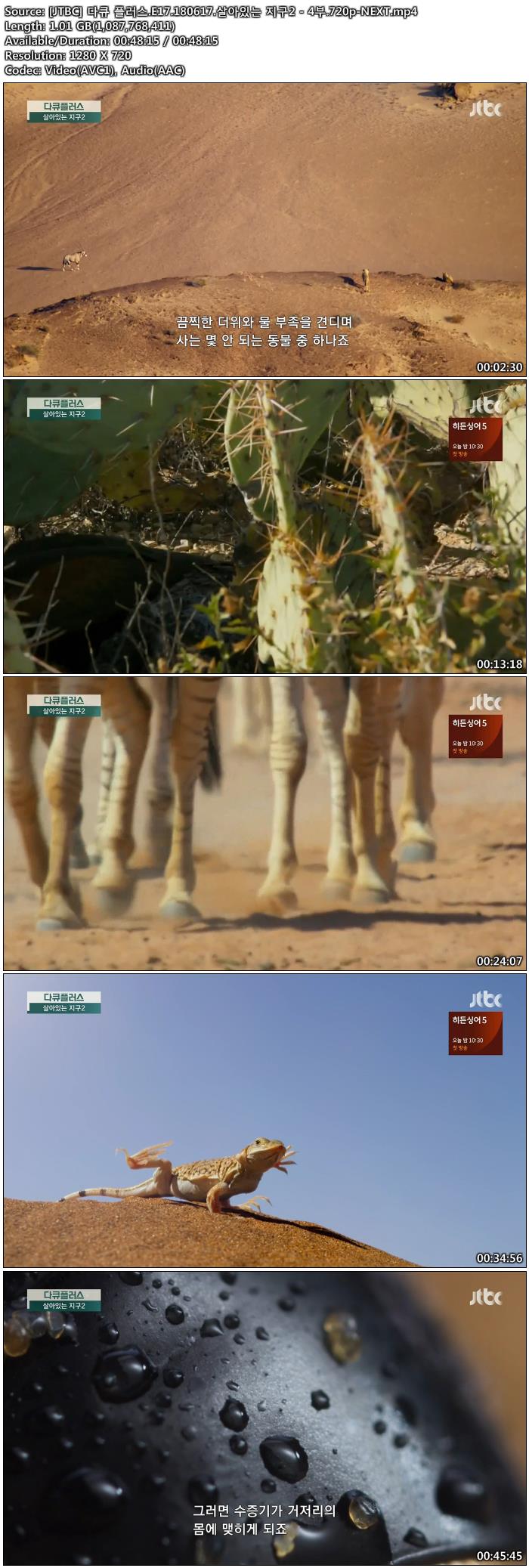 [JTBC] 다큐플러스.E17.180617.살아있는 지구2 - 4부.720p-NEXT